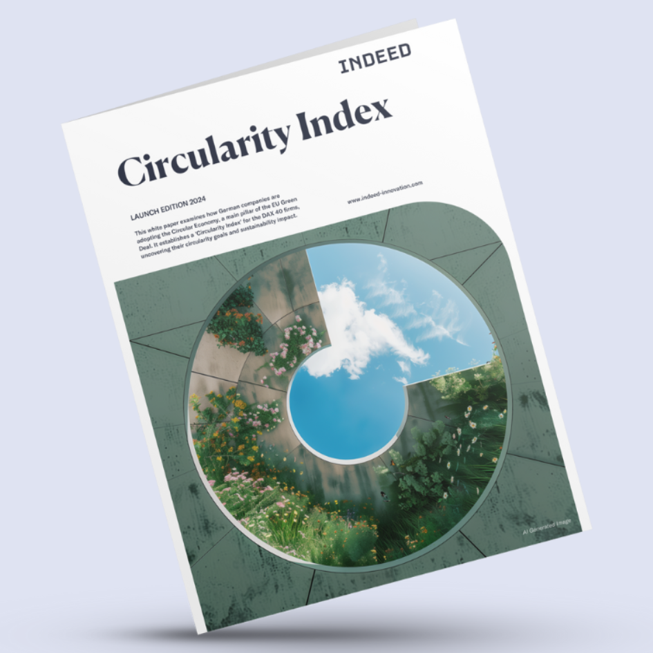 INDEED Circularity Index 2024