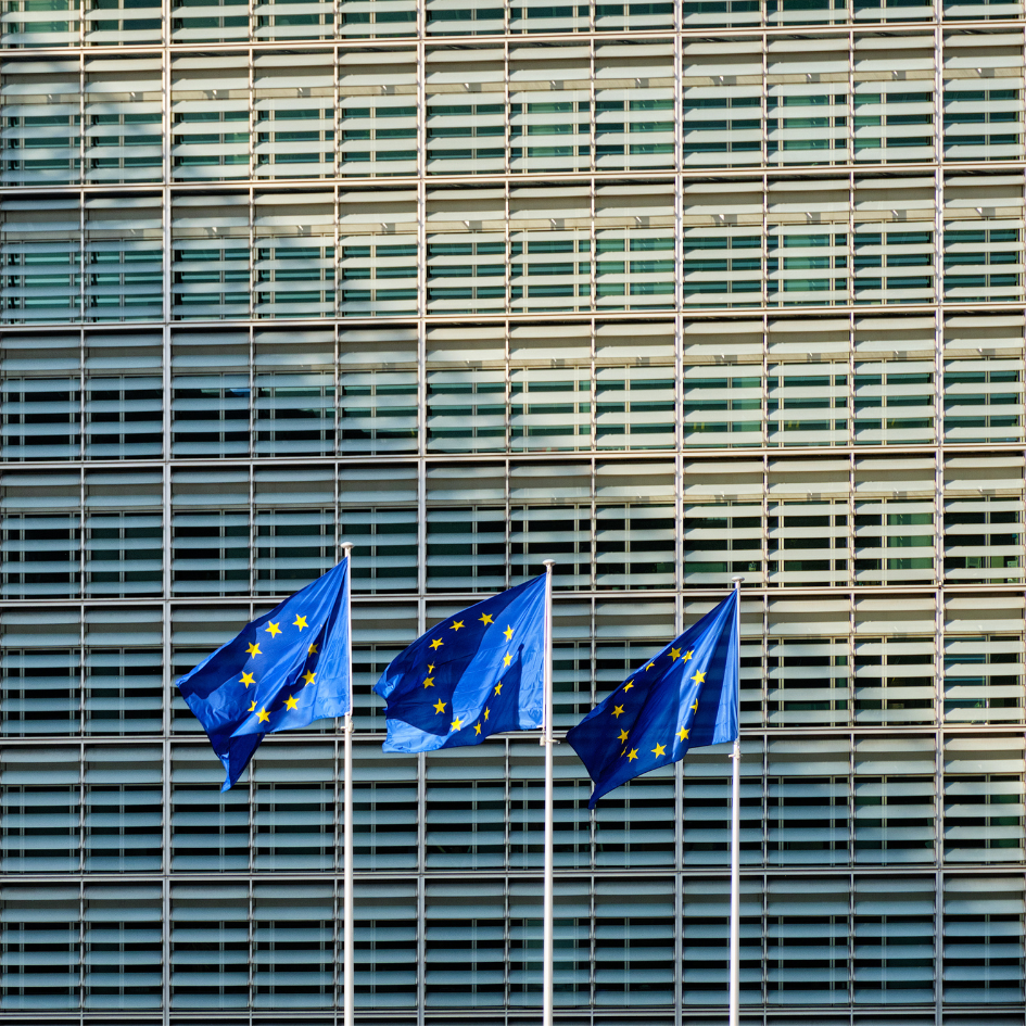 CSRD Omnibus Delay: A Strategic Opportunity for Businesses